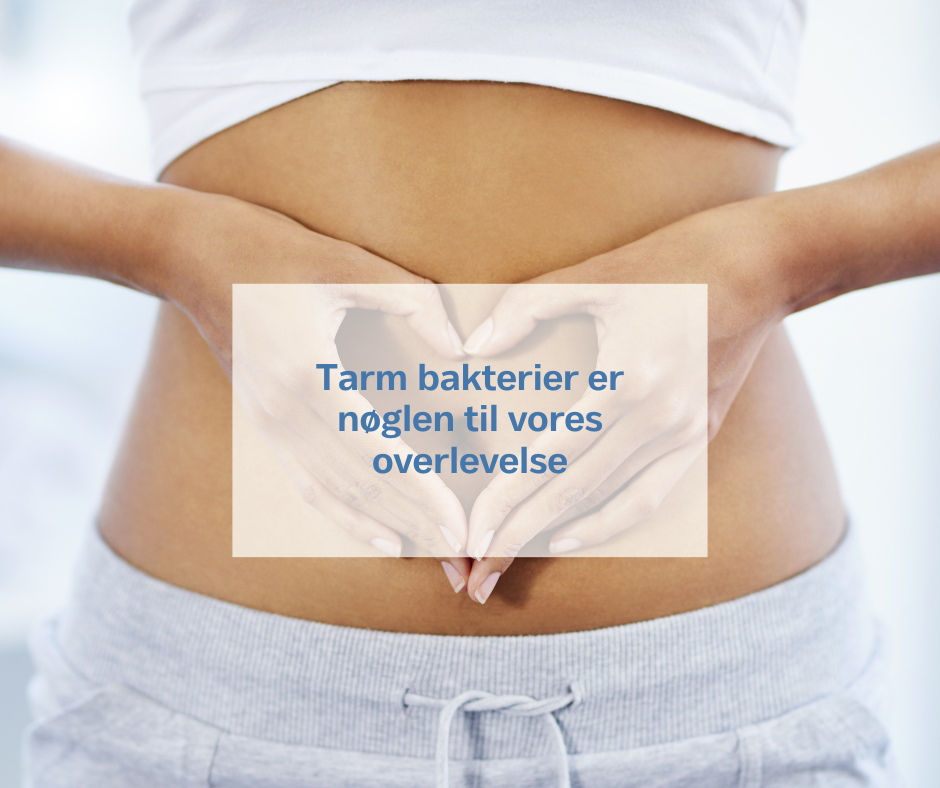 Tarmbakterier er nøglen til vores overlevelse - ZCT